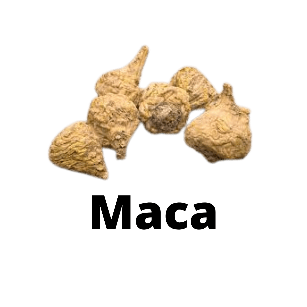 MACA LANDING – Maca Booster Supplement